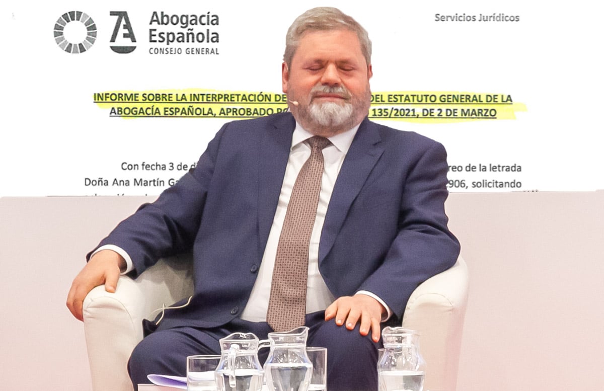 "El informe del CGAE sobre la interpretación del Estatuto General no ...