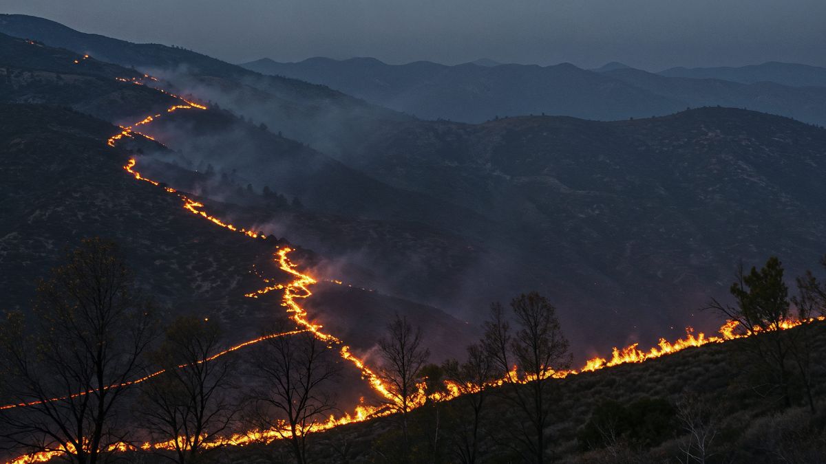 ¿De dónde procede el término forense, que se utiliza en la Justicia?